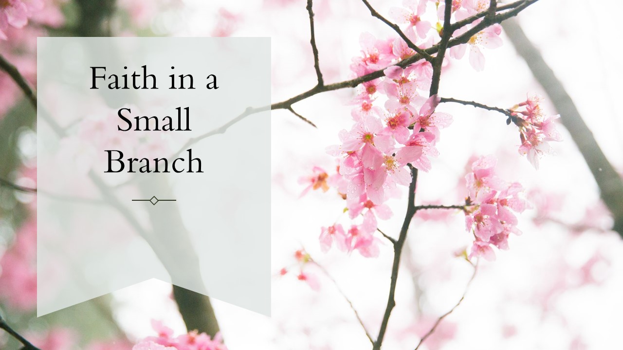 Faith in a Small Branch – Richard Bahr