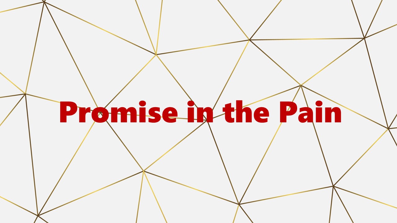 Promise in the Pain – Richard Bahr